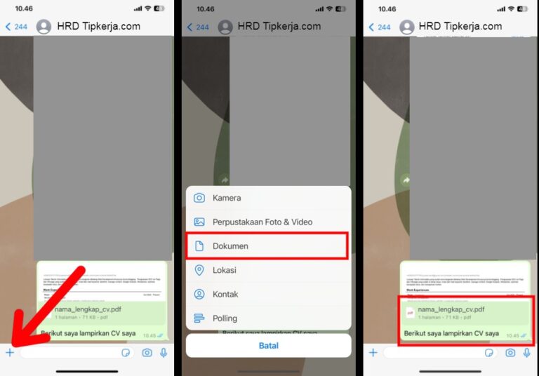 Cara Melamar Kerja Lewat WA Beserta Contoh Chat